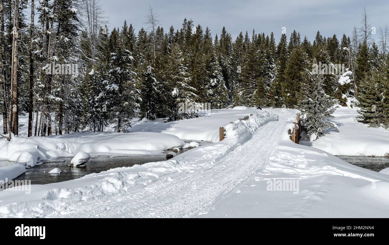 Idaho winter with Snowmobile trail leading into the wilderness Stock ...