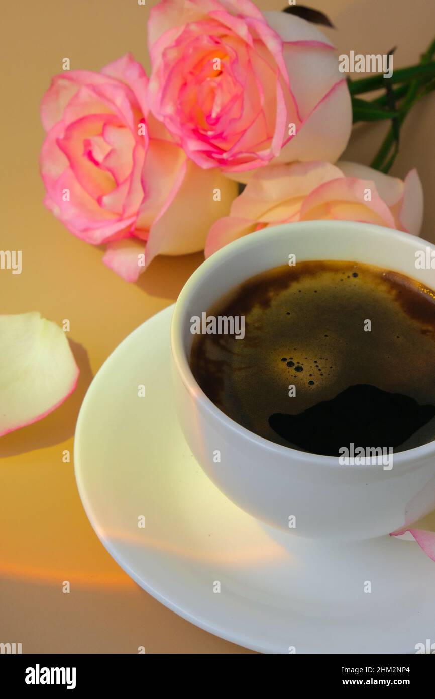 Tender pink rose on vase with white cup of coffee on beige background ...