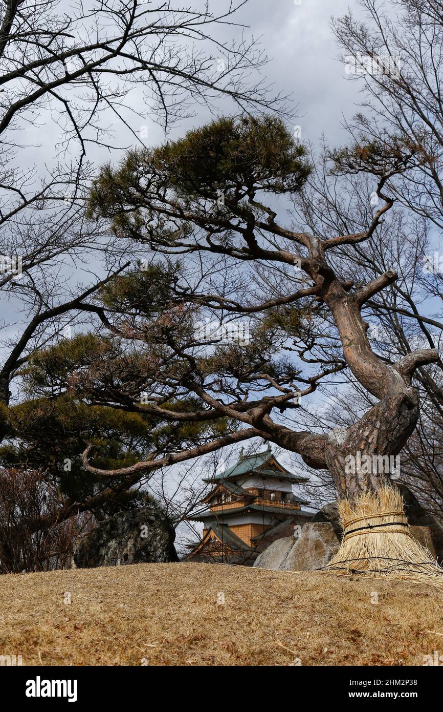 suwa, nagano, japan, 2022/06/02 , View of Takashima Castle (Takashima ...