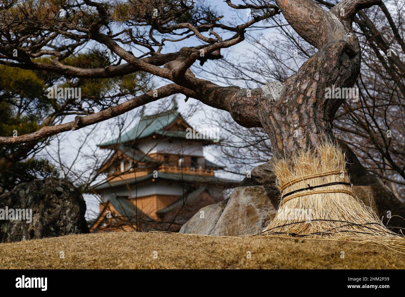 suwa, nagano, japan, 2022/06/02 , View of Takashima Castle (Takashima ...