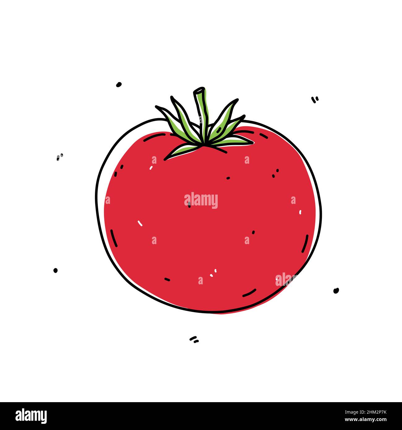 Red tomato isolated on white background. Organic healthy food. Vector ...