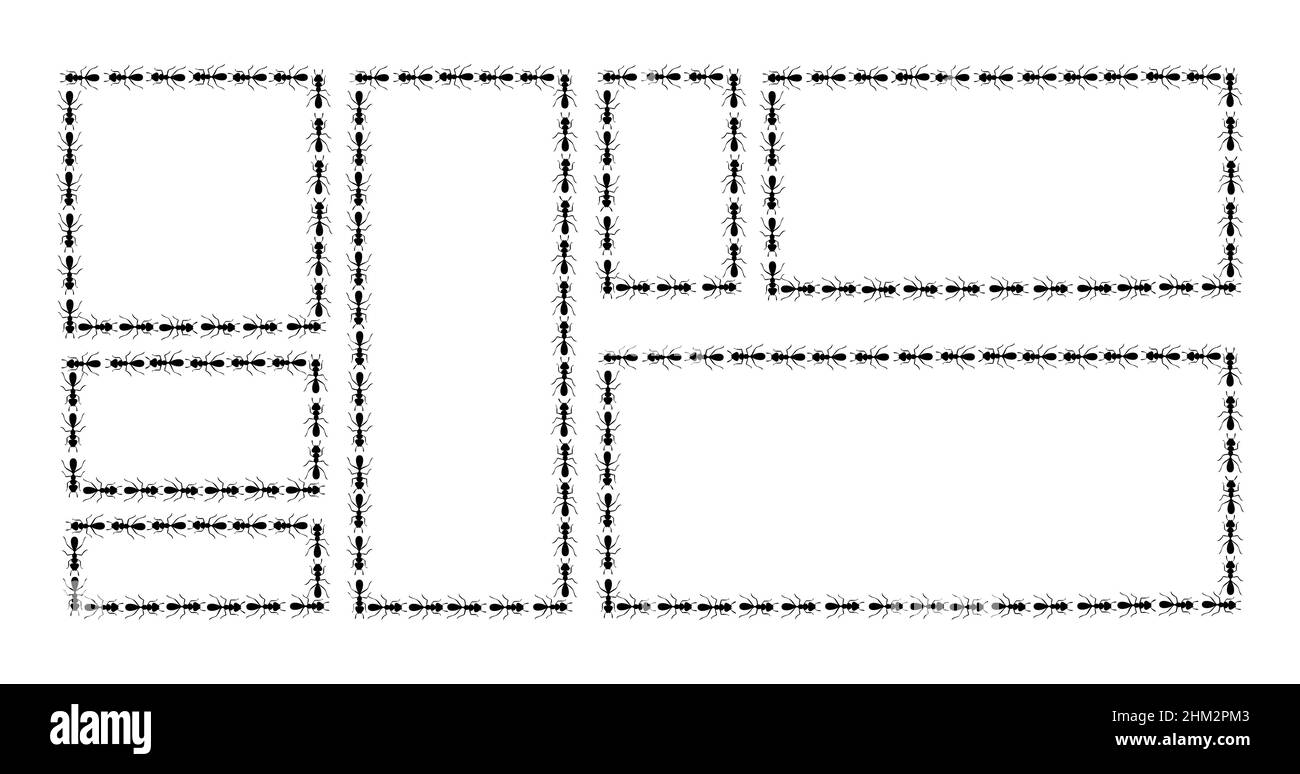 Black ants square border. Set with ants forming rectangular shape isolated in white background ...