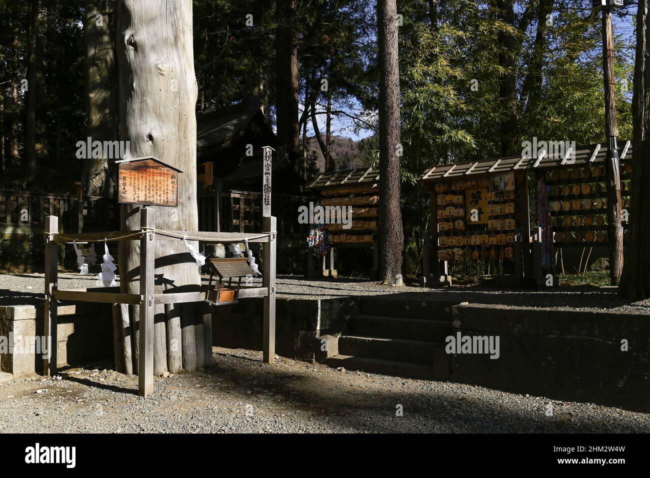 suwa, nagano, japan, 2022/06/02 , Suwa Grand Shrine (Suwa-taisha ...