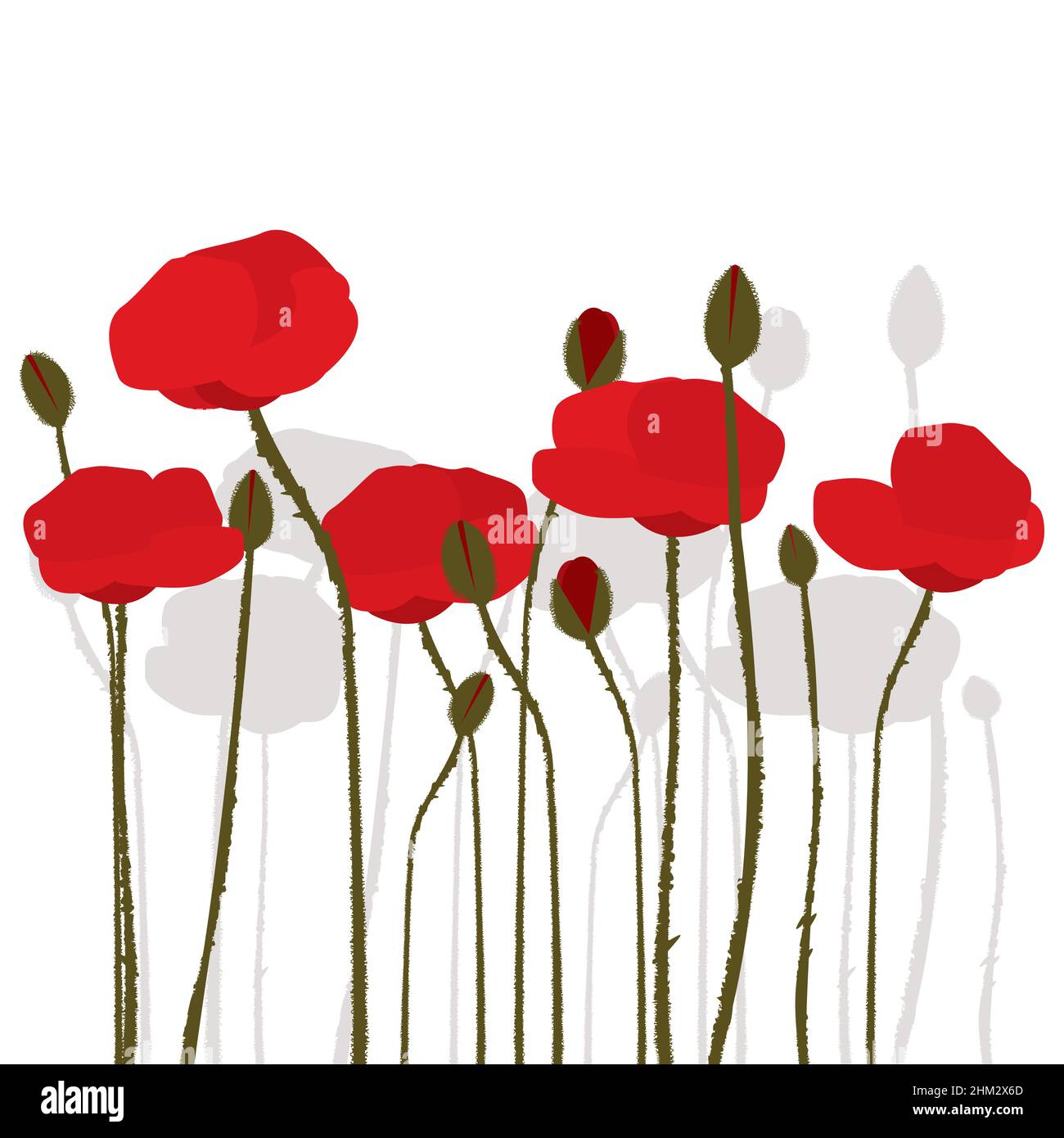 Hand drawn stylized poppies on white background Stock Vector Image ...