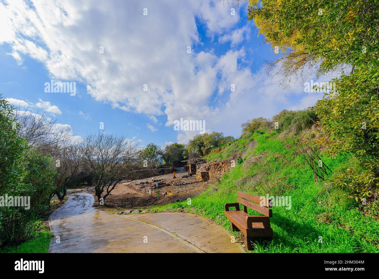 Tel dan nature reserve israel hi-res stock photography and images - Alamy