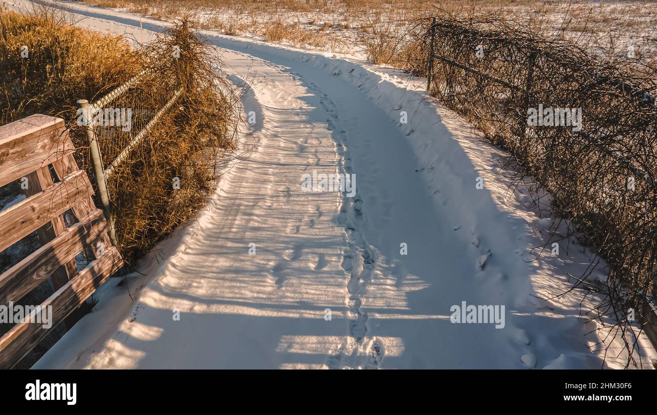 Public walking path in winter with snow and tracks. Sun sets over the ...