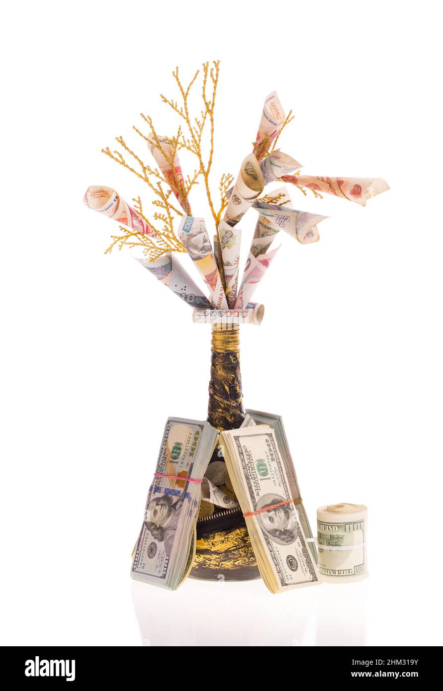 Currency bills on a handmade money tree isolated on white background ...