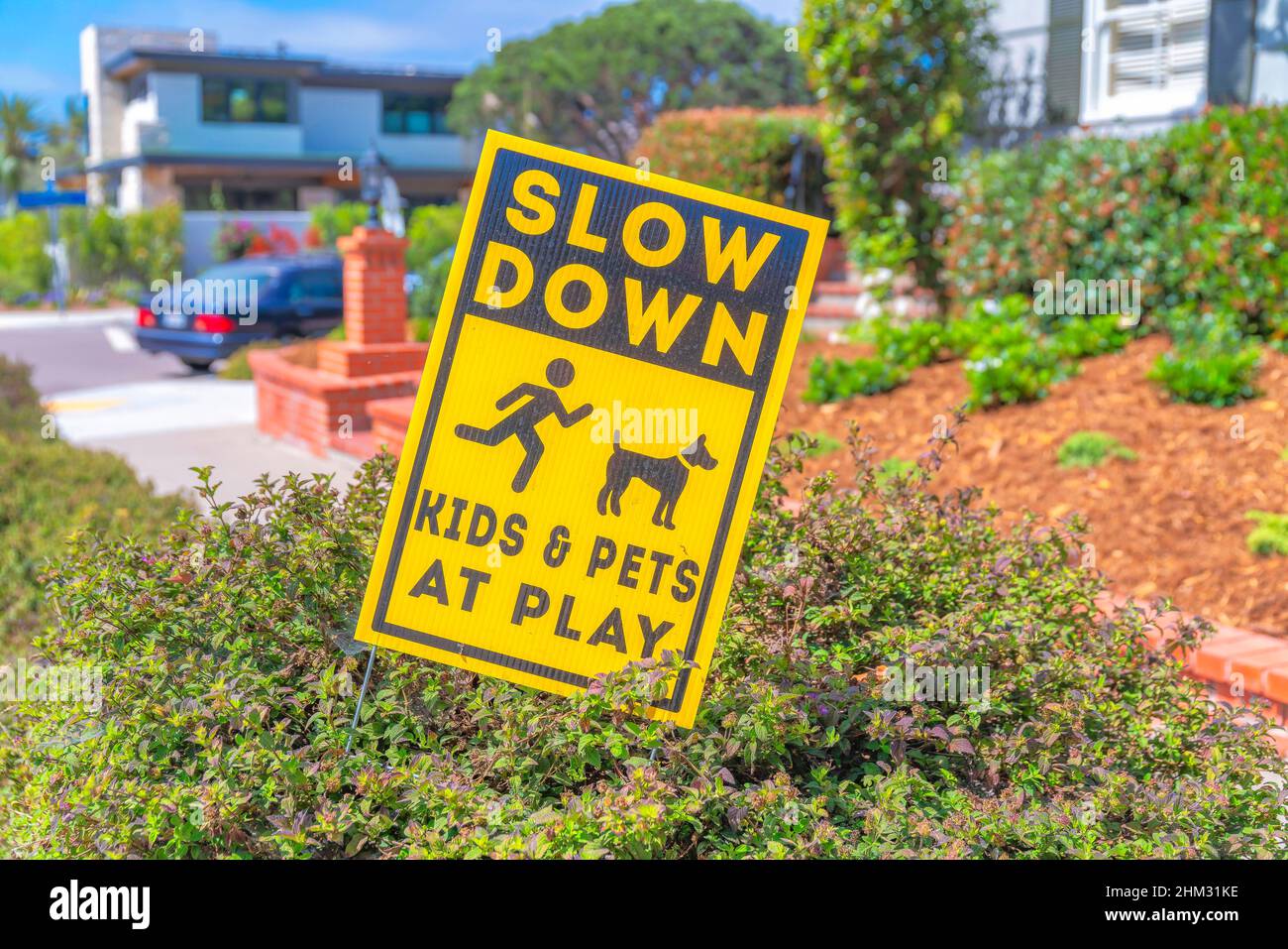 Slanted yellow signage on top of a bush at La Jolla, San Diego ...