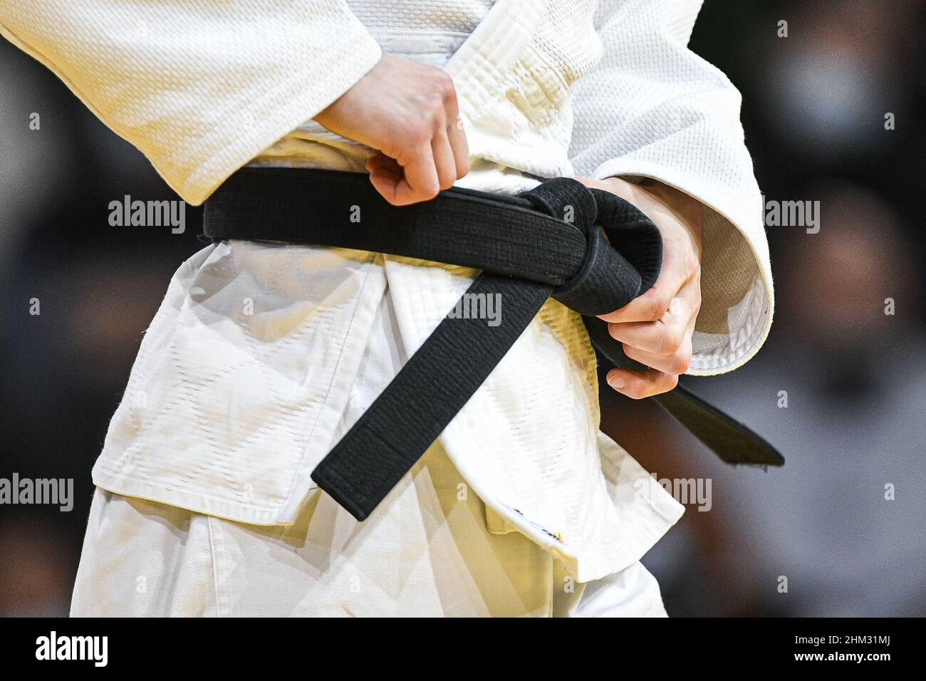 Illustration picture shows a judoka/judo fighter putting his black belt ...