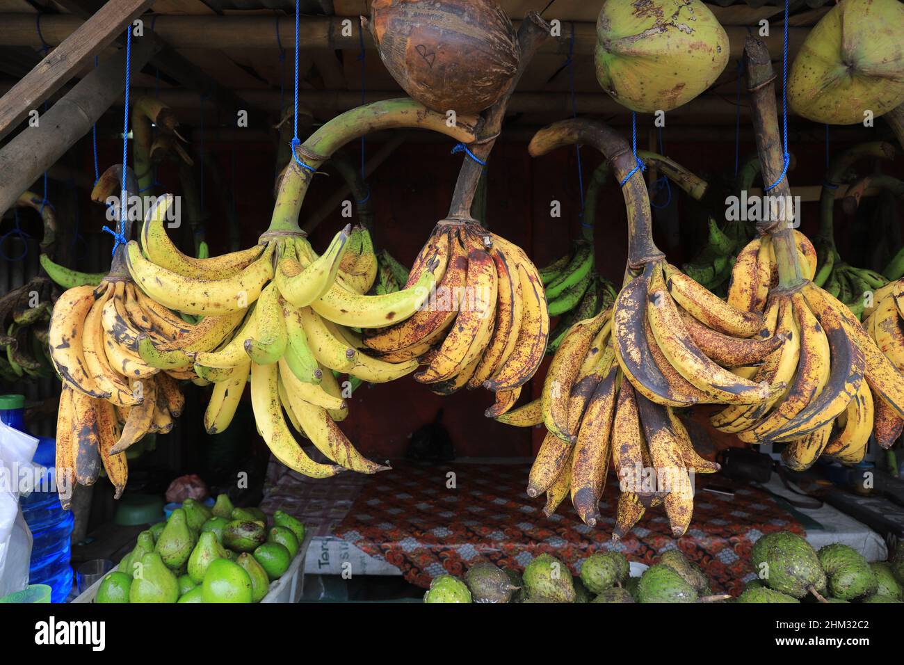 Pisang Tanduk
