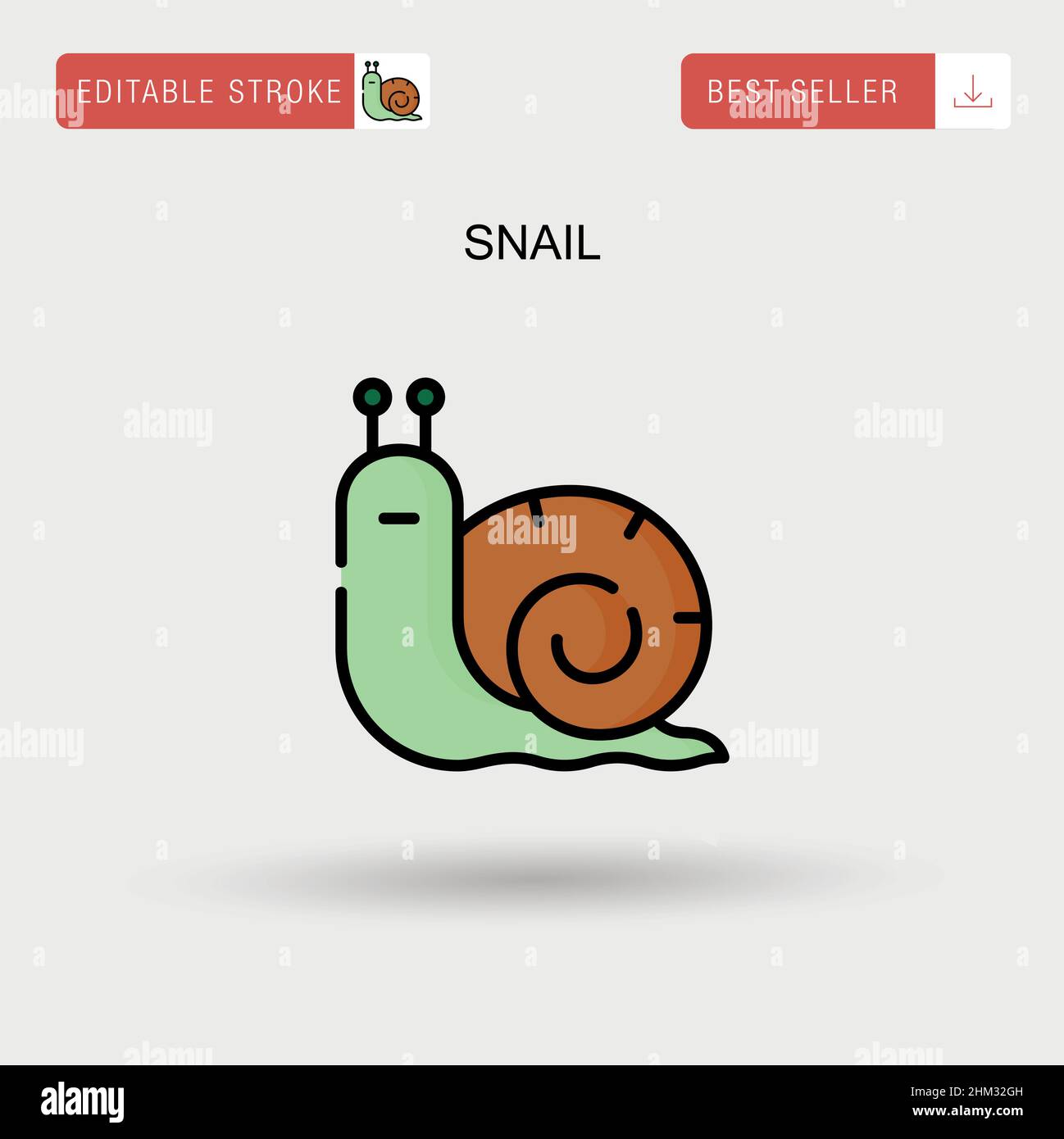 Closeup small snail shell Stock Vector Images - Alamy