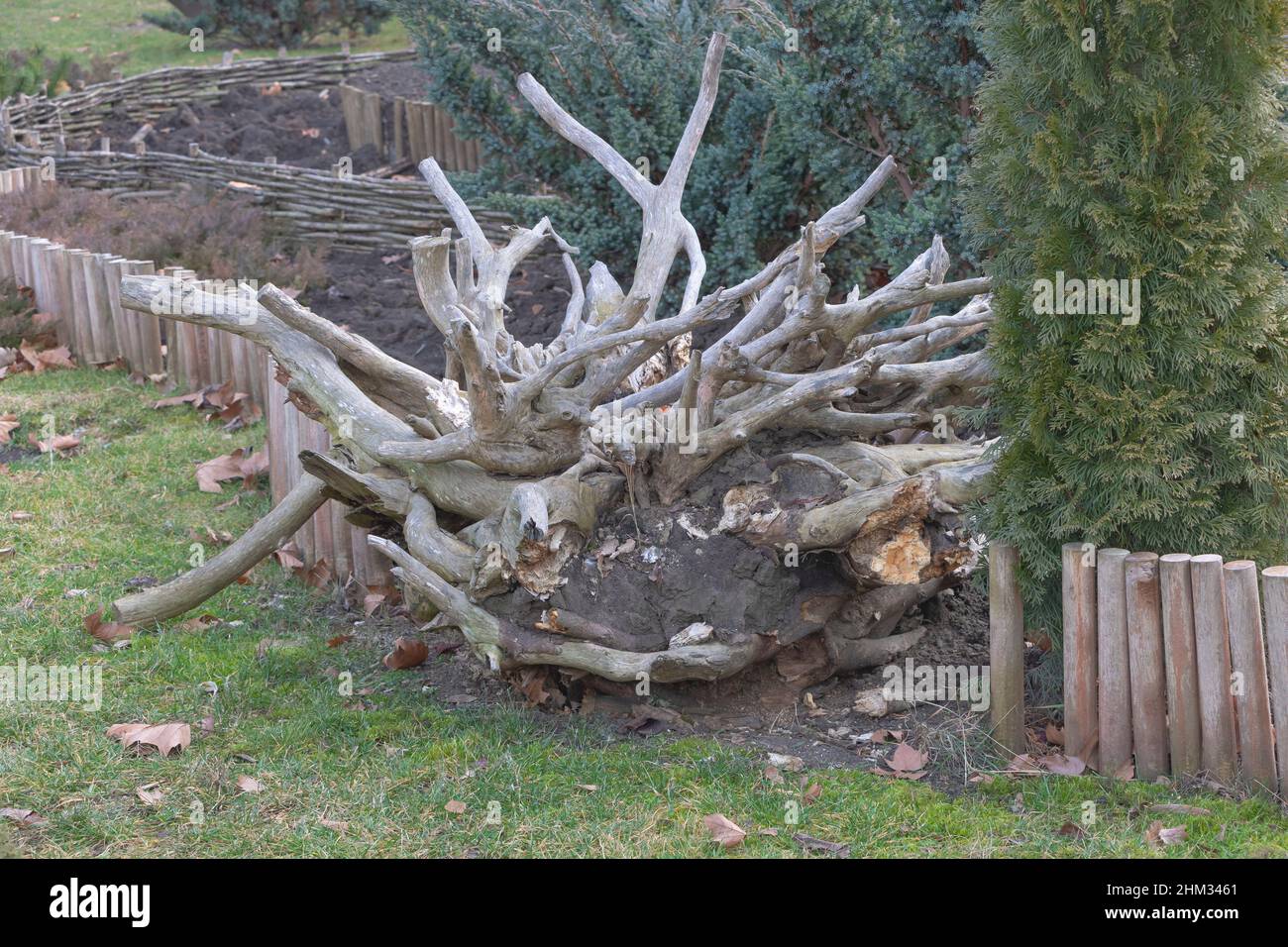 Dead tree sculpture hi-res stock photography and images - Alamy