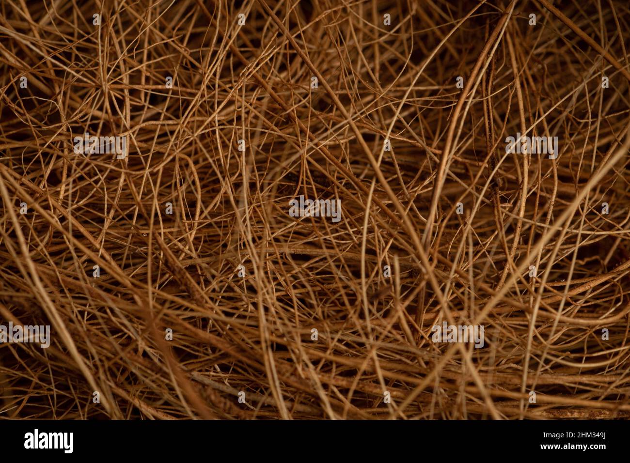 Coir fiber or coconut husk texture for wallpaper and background ...