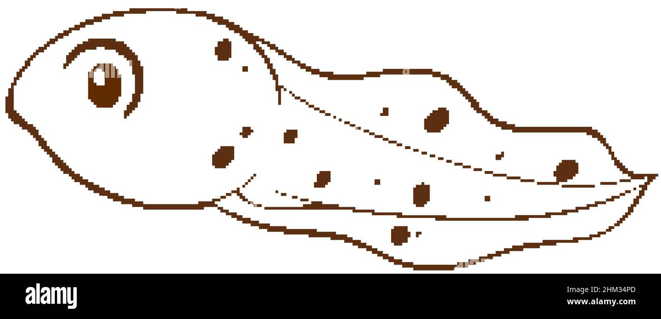 Tadpole in doodle simple style on white background illustration Stock ...