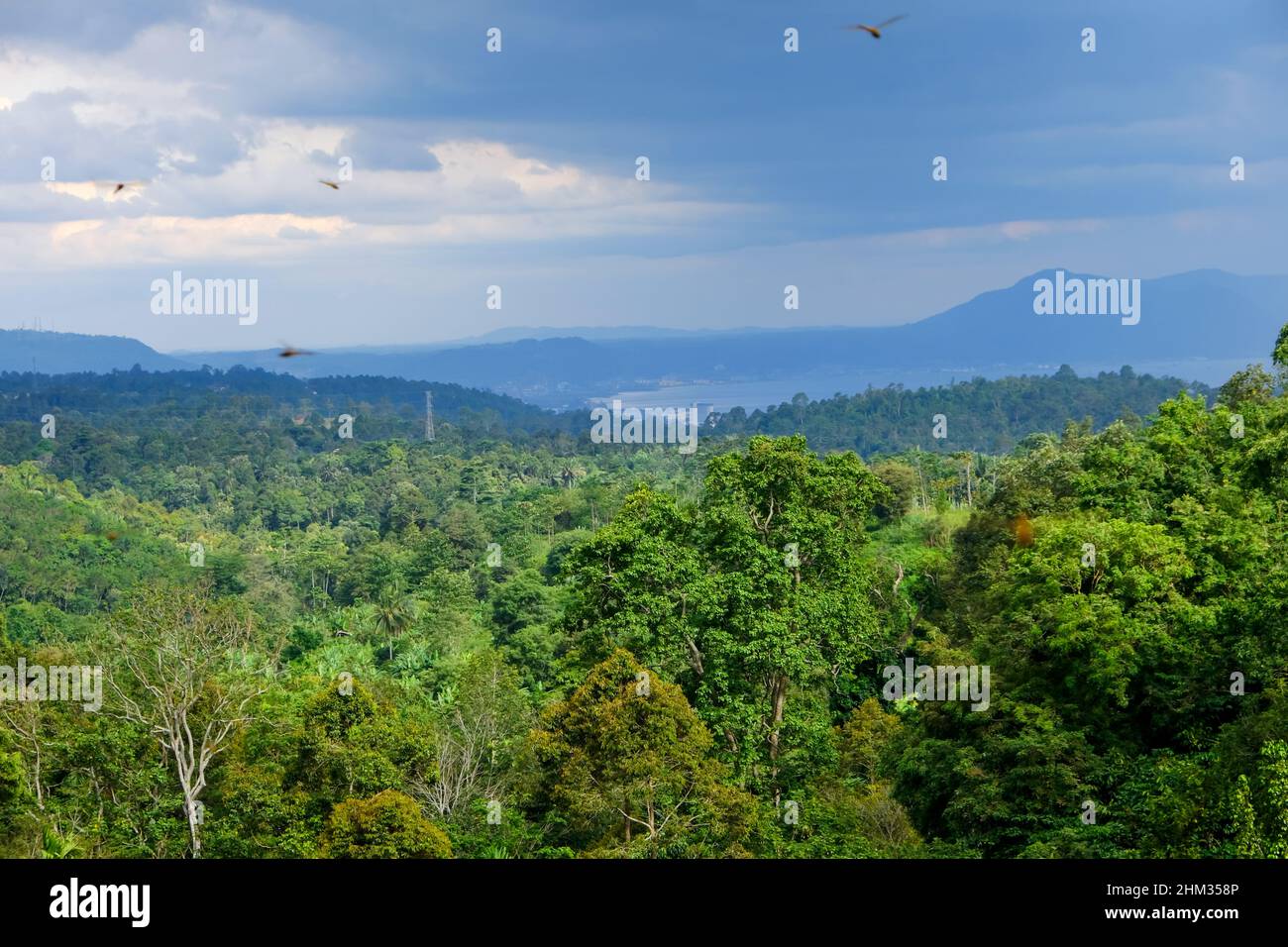 The view from the top of the mountain in the Kemiling, Lampung ...