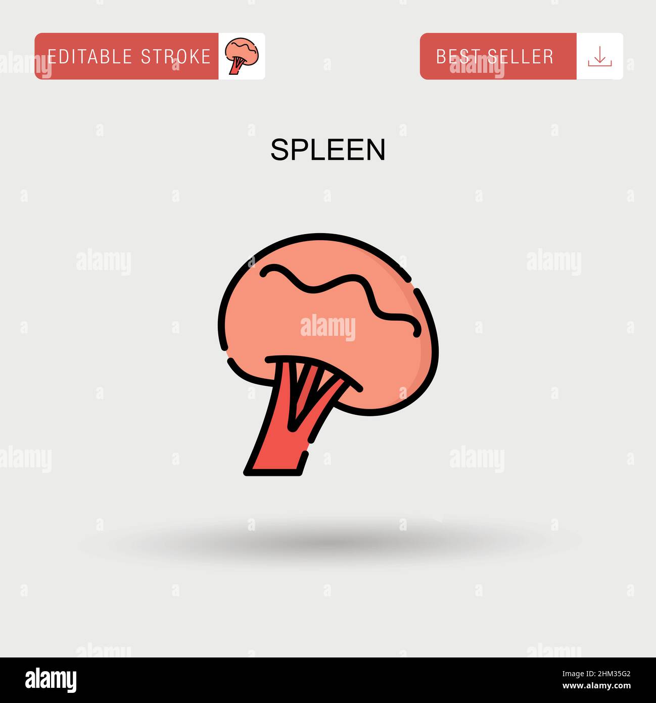 Male diagram ray muscular hi-res stock photography and images - Alamy