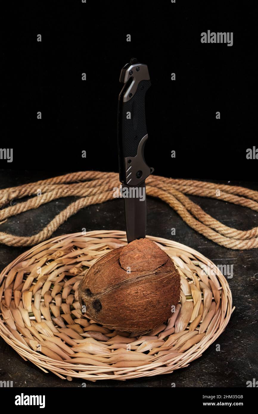 Tactical folding knife is stuck in split coconut lying next to pano ...