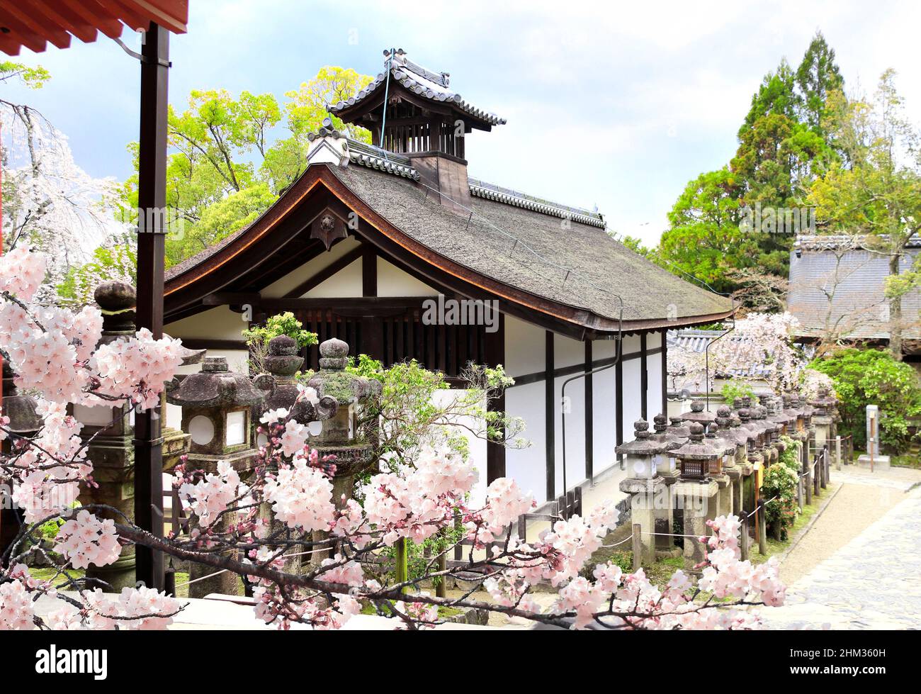 Ancient pavilion, sakura flowers and stone lanterns at Kasuga Grand ...