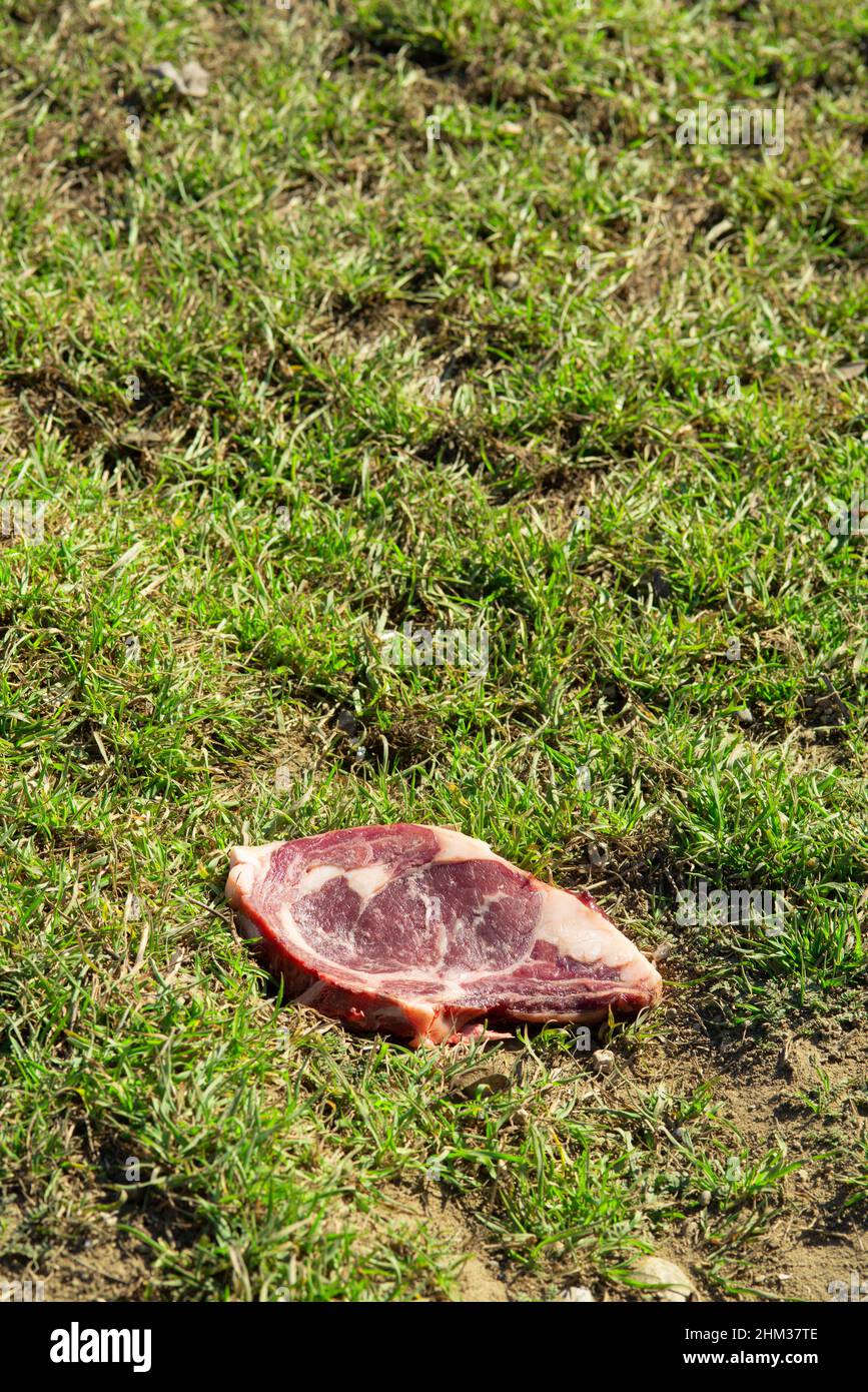 Meat disgusting hi-res stock photography and images - Alamy