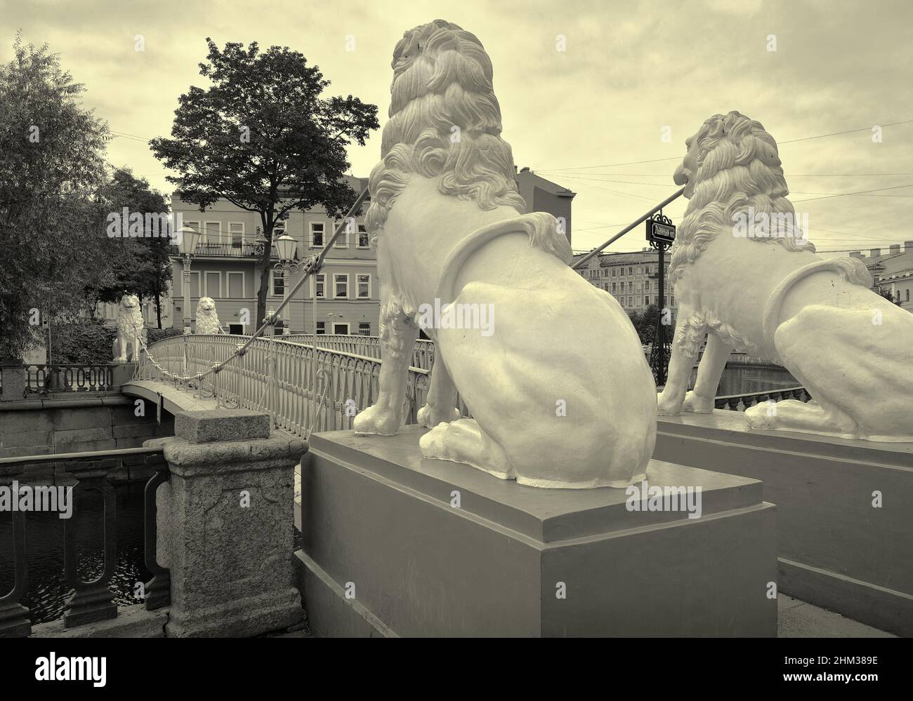 Lion bridge on the Griboyedov canal. Sculptures of white lions hold a ...