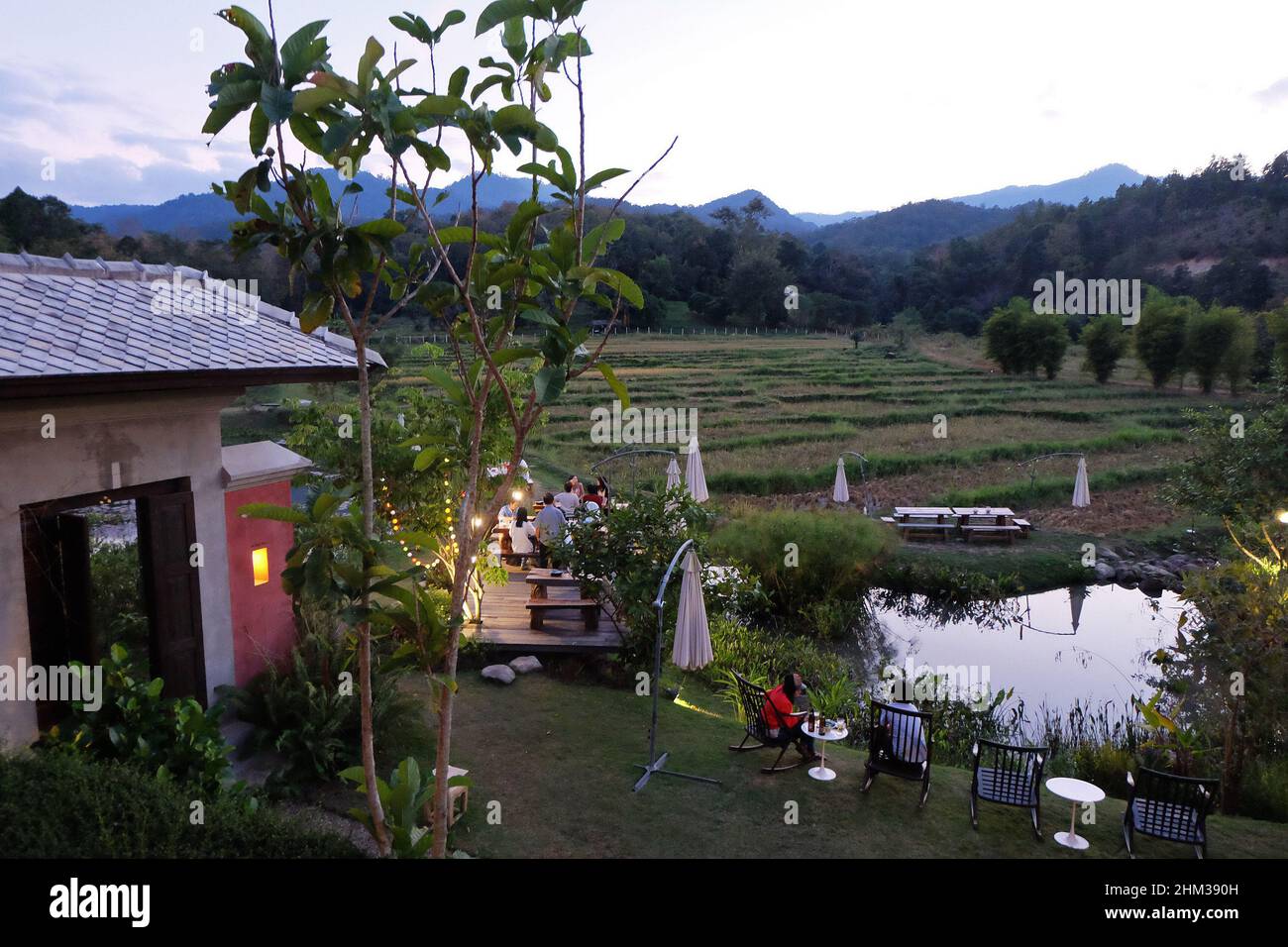 Natural landscape of rice paddy field with outdoor terrace patio Stock ...