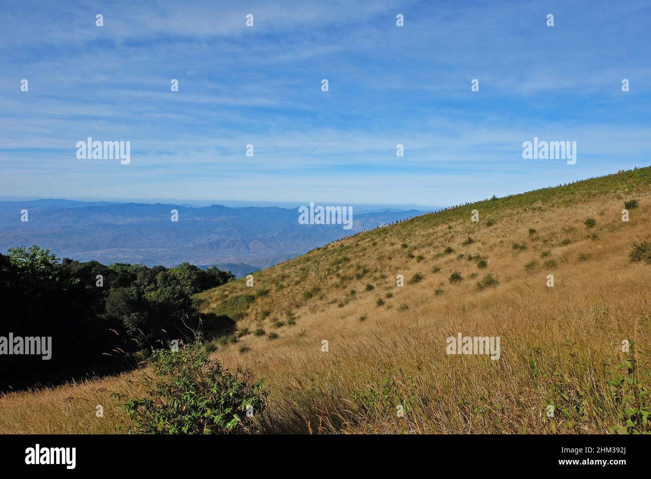 Natural landscape of Doi Inthanon national park- The Highest mountain ...