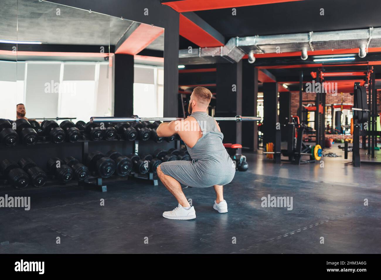 Athletic man trains in the gym, squating with a barbell. Back view ...