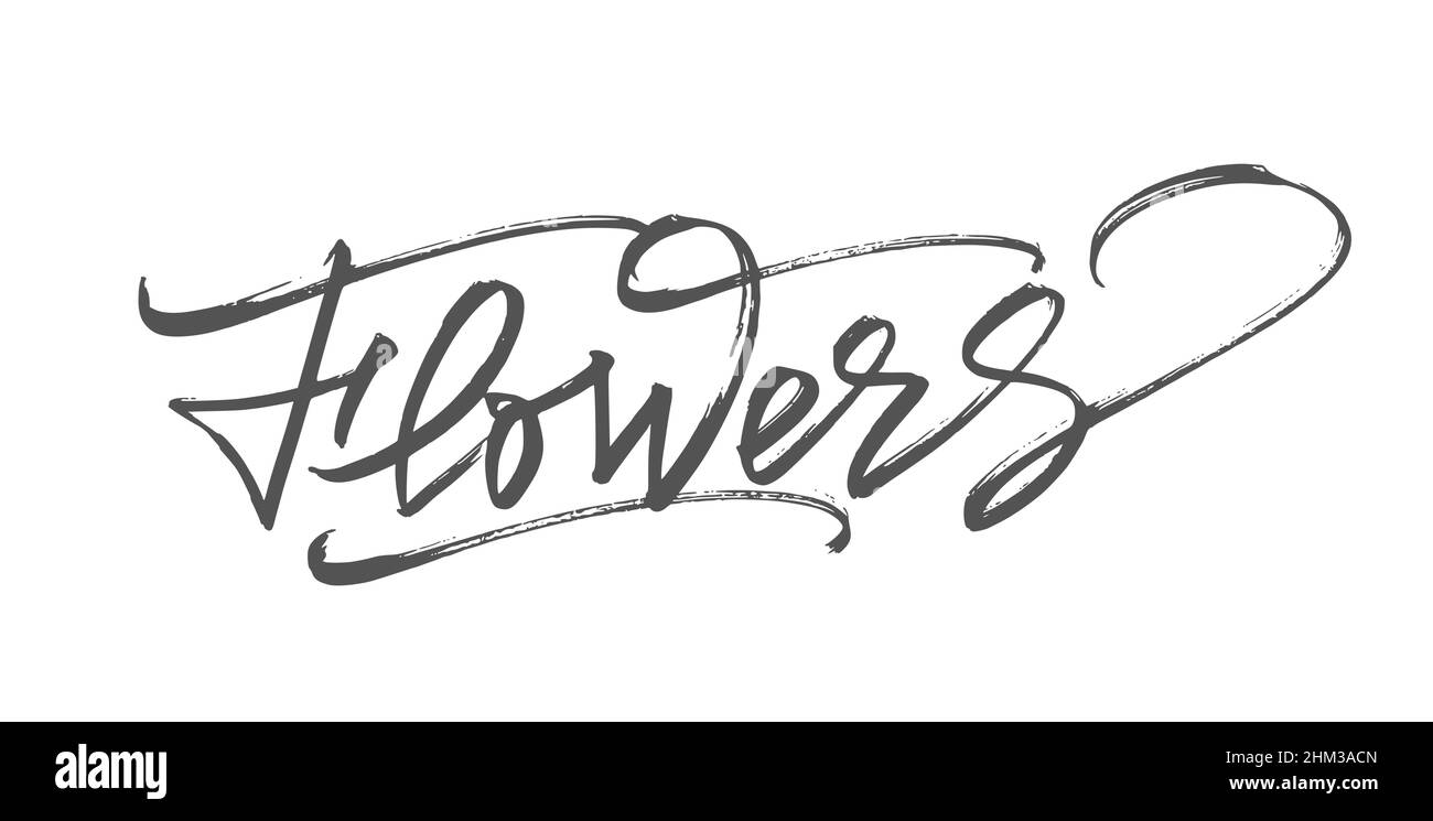 Handwritten words with a brush. Calligraphy in vector Stock Vector ...