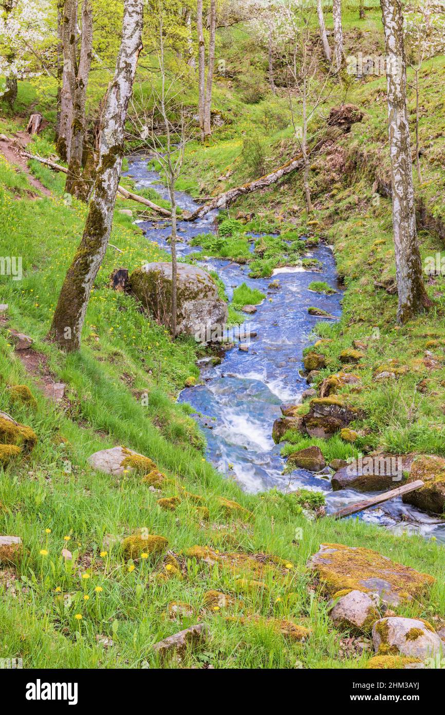Birch creek valley hi-res stock photography and images - Alamy