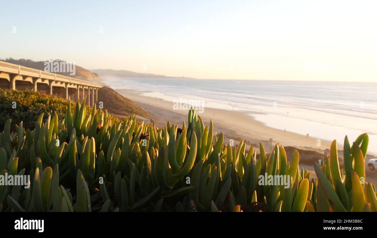 Torrey pines state beach bridge hi-res stock photography and images - Alamy