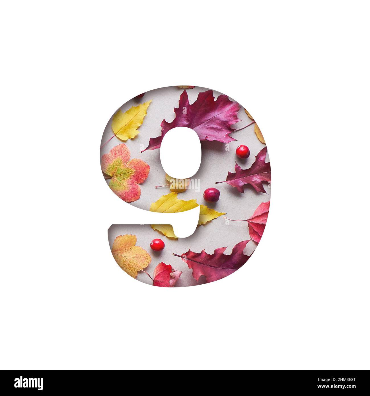 Number 9 leaves hi-res stock photography and images - Alamy