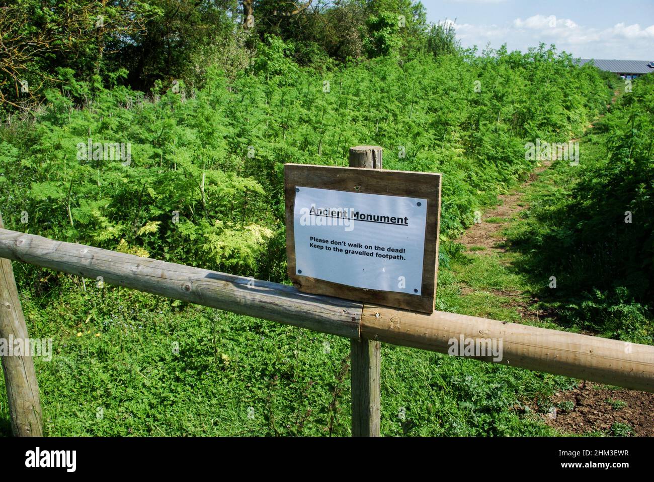 Dont walk on the dead hi-res stock photography and images - Alamy