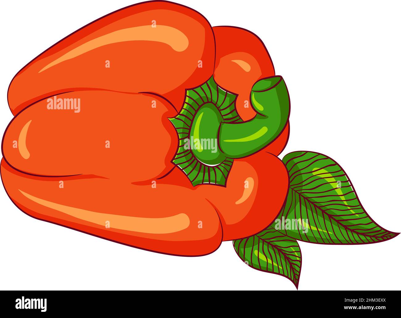Red paprika pepper Stock Vector Image & Art - Alamy