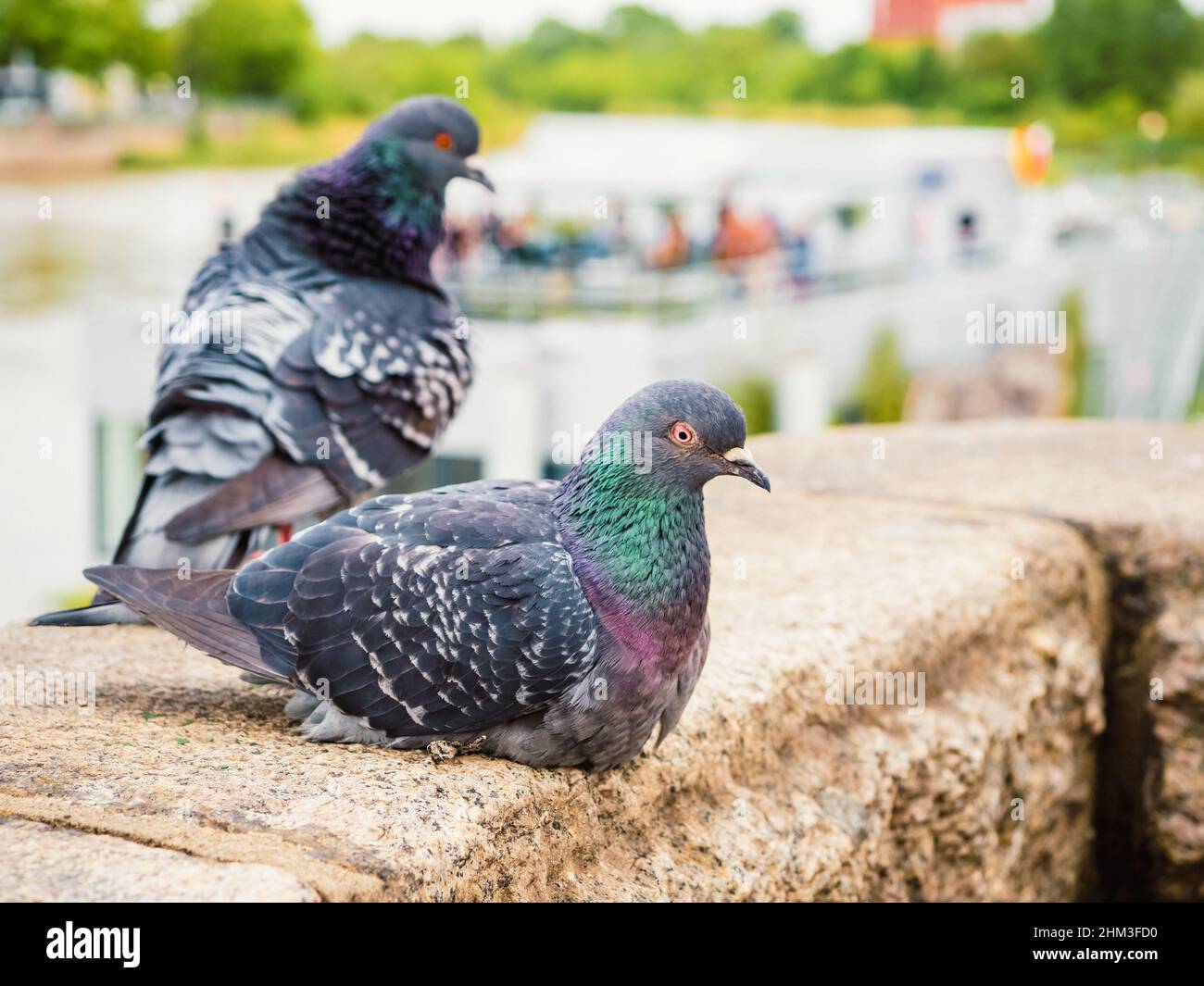 Sitting on parapet hi-res stock photography and images - Alamy