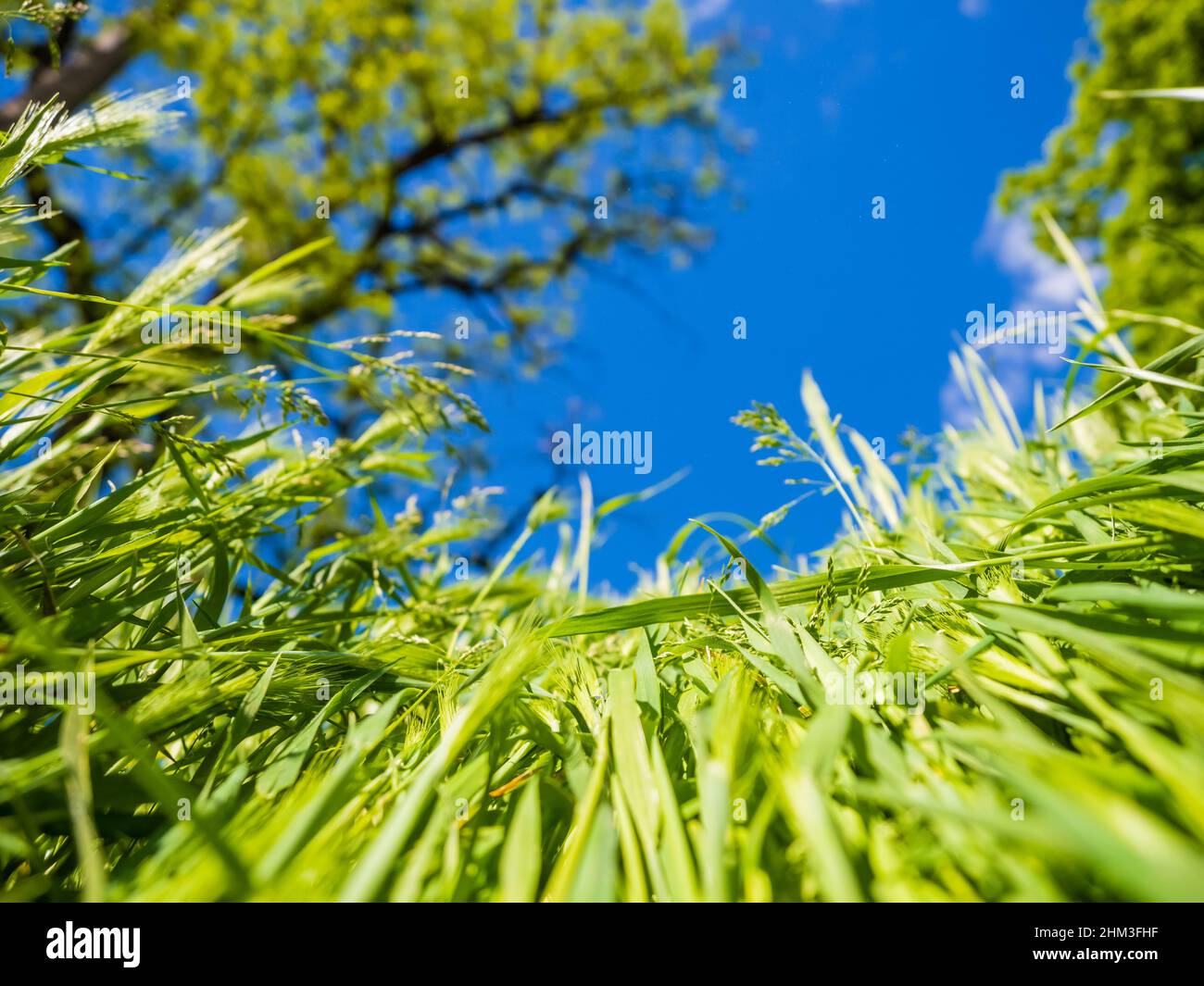 Horizontal ground view hi-res stock photography and images - Alamy