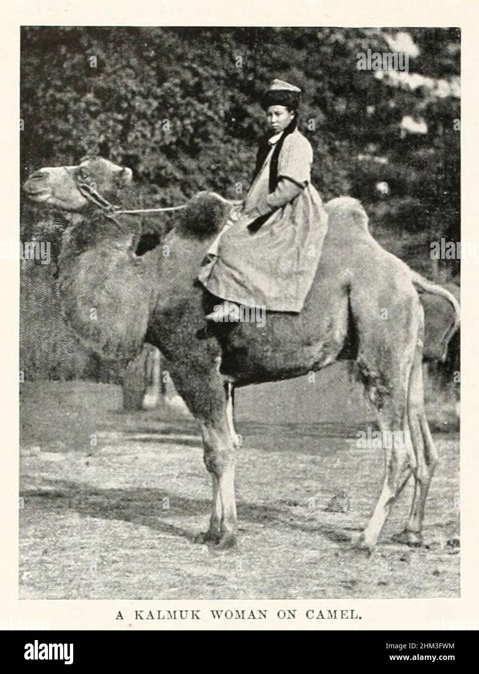 Russias history and culture hi-res stock photography and images - Alamy