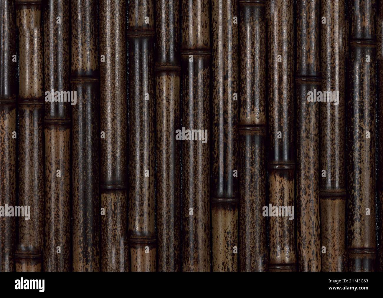 Texture detail vertical black bamboo close-up.Texture or background ...