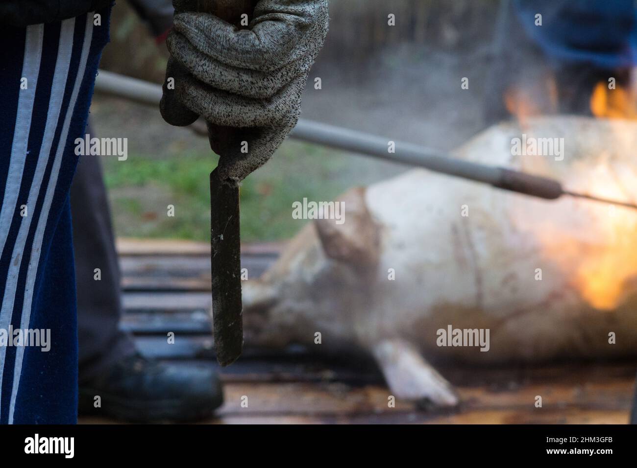 Traditional pig slaughter in rural Hungary Stock Photo - Alamy