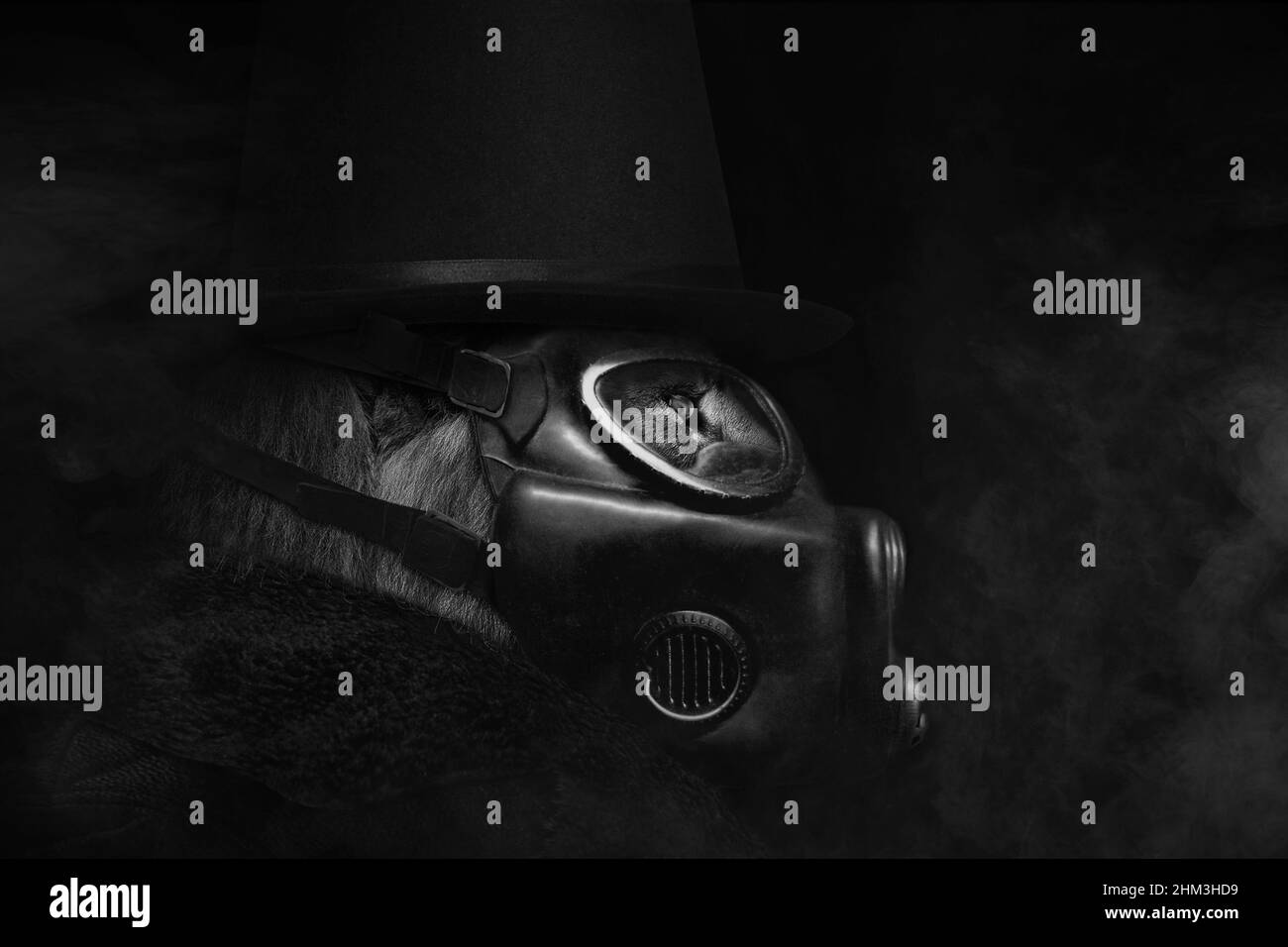 Lion man mask Black and White Stock Photos & Images - Alamy