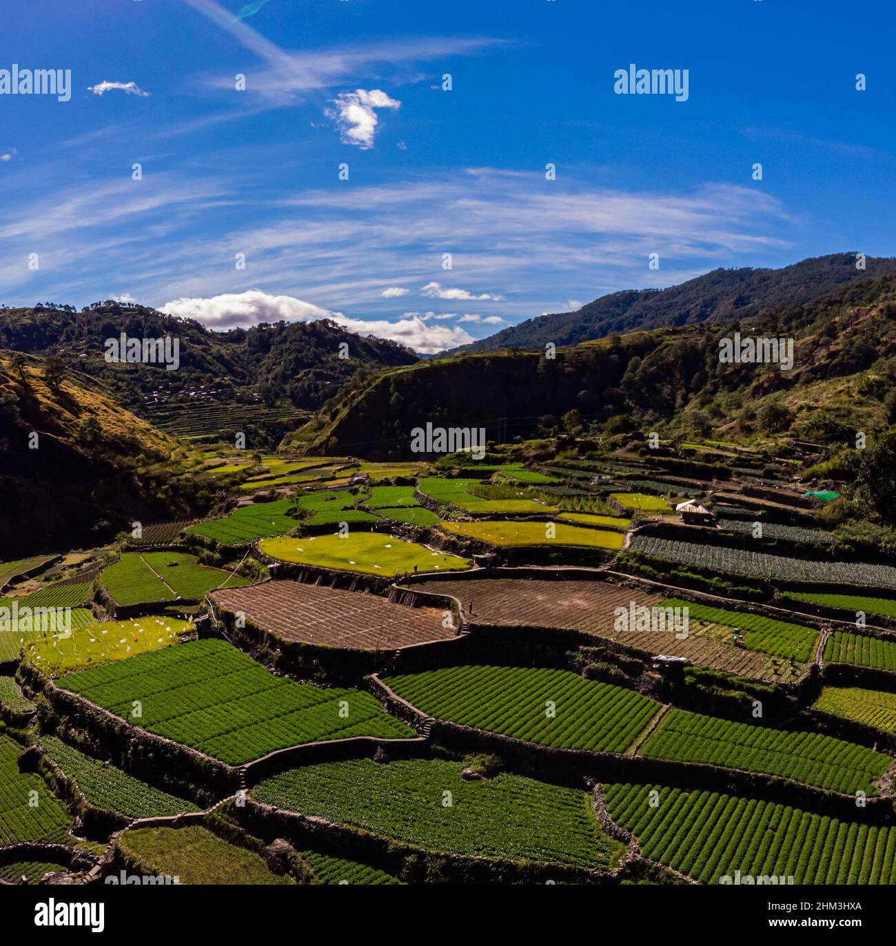 Aerial view of vegetable gardens paddy farms in the foreground of ...