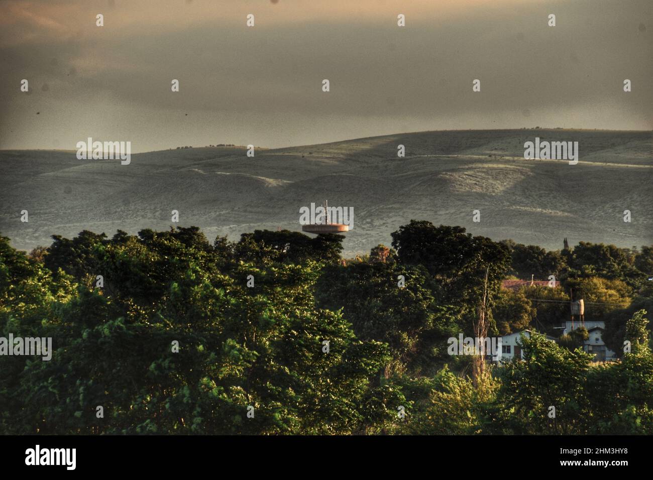 View of the dense green forest with small houses between trees Stock ...