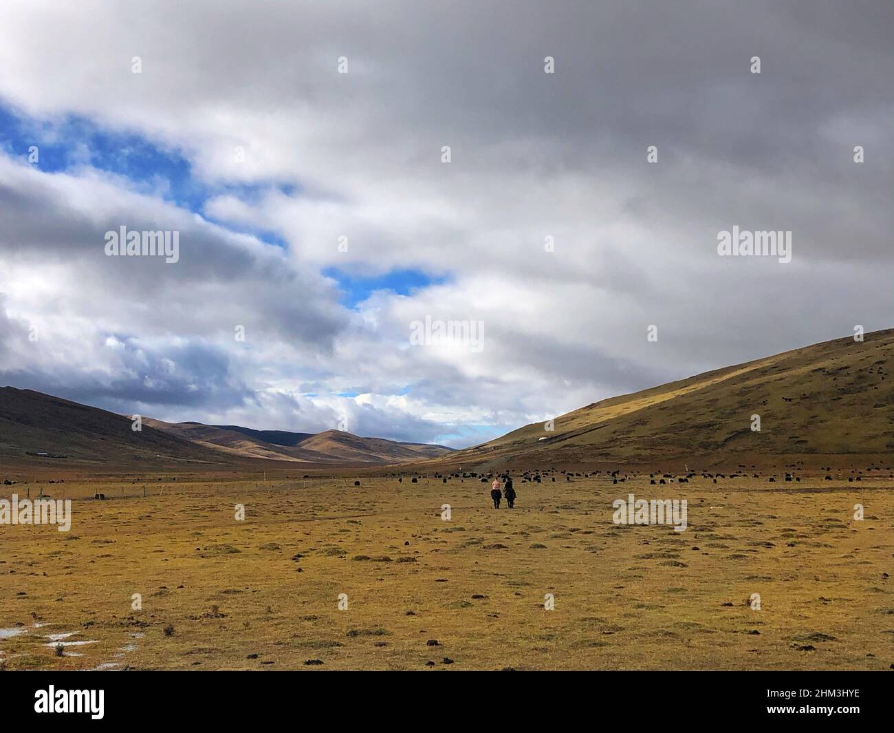 Natural scenery of a vast pasture between the mountains Stock Photo - Alamy
