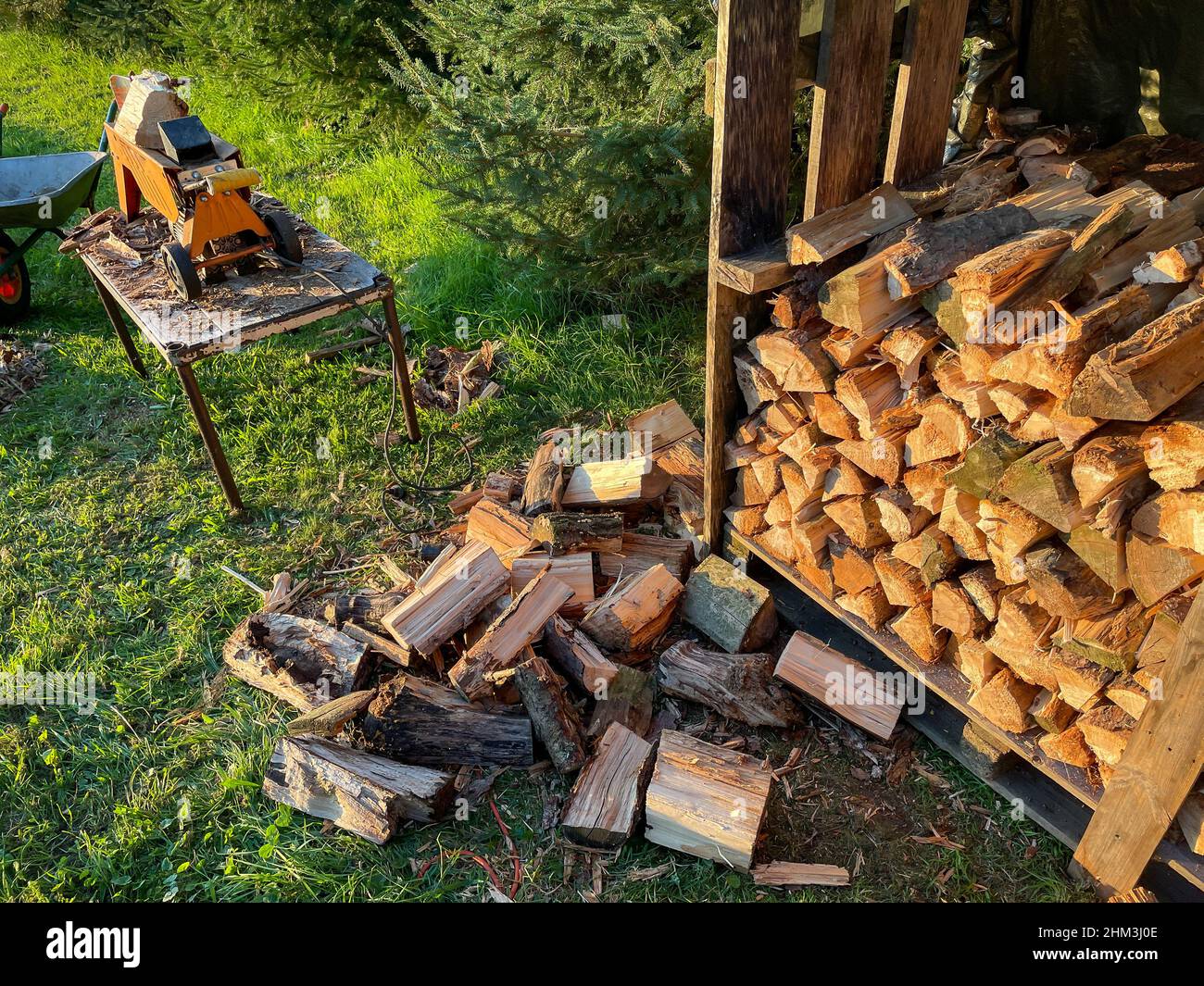 Firewood is split in the garden Stock Photo - Alamy