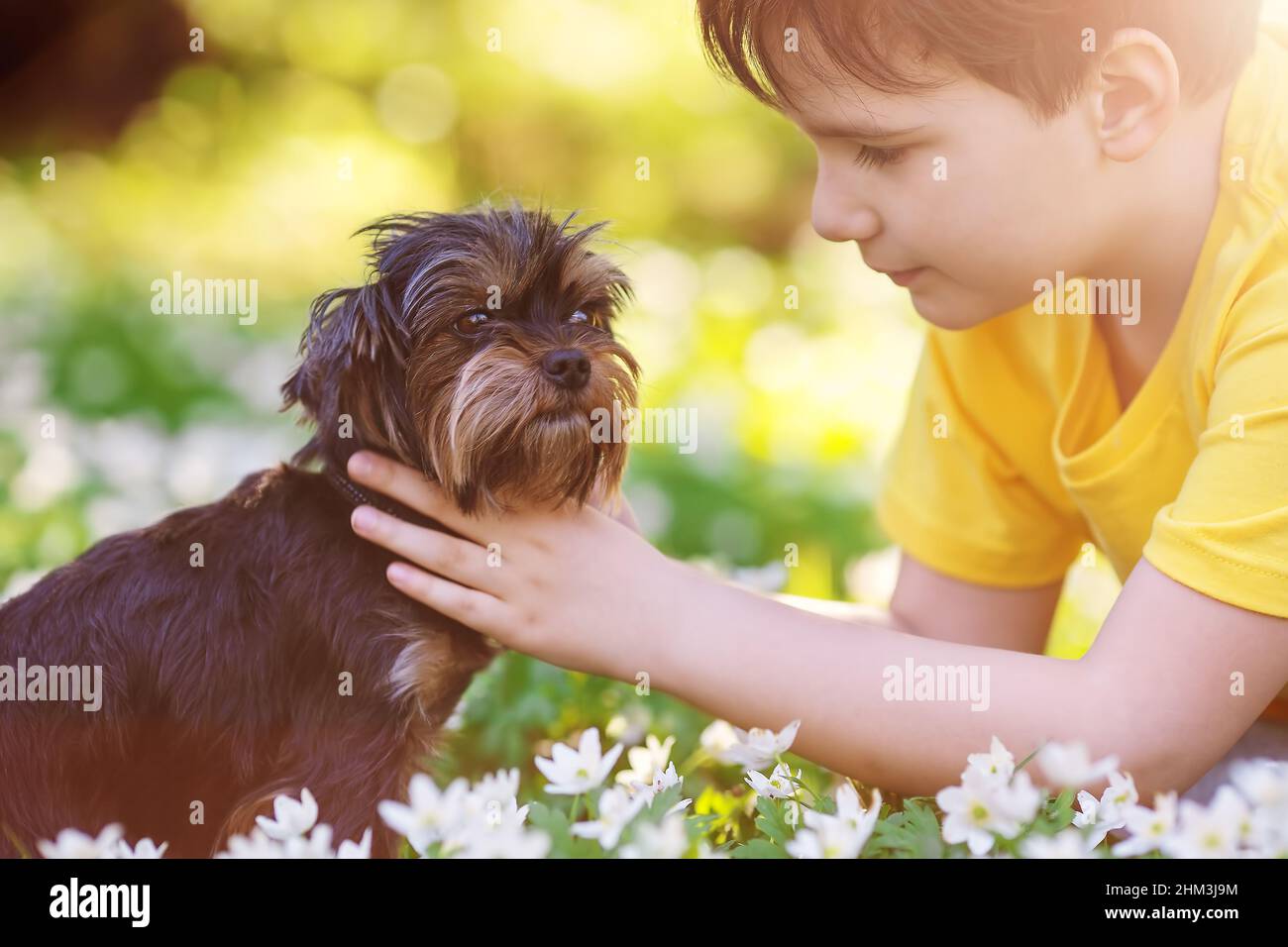 Cute boy looking with love on his dog Stock Photo - Alamy