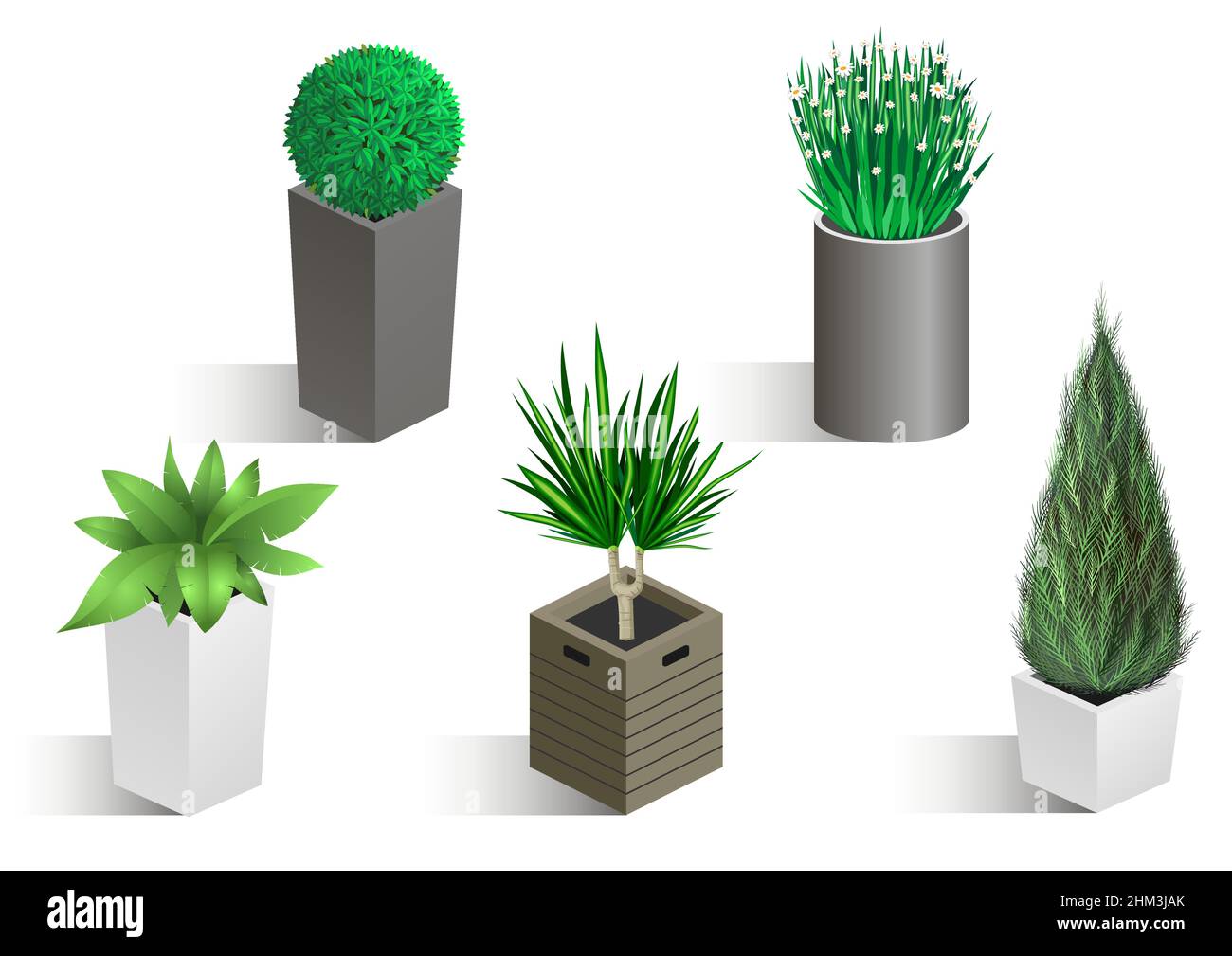 Isometric set of different plants Stock Vector Image & Art - Alamy