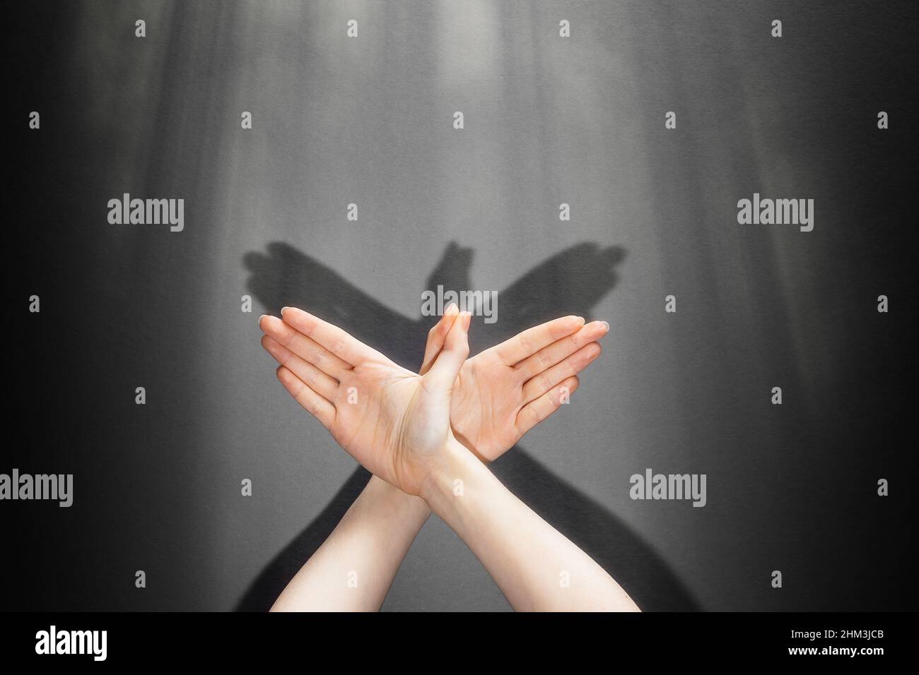 Dove human hands peace symbol hi-res stock photography and images - Alamy