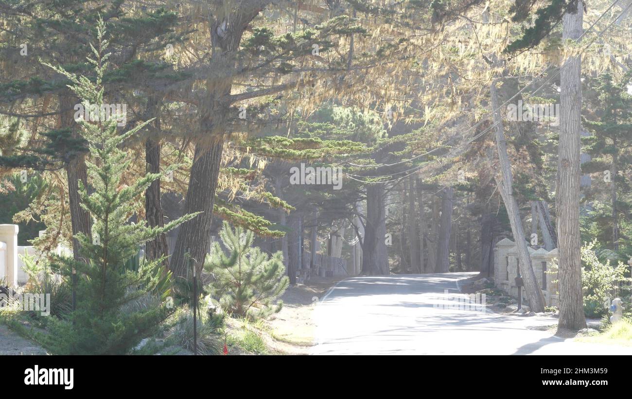 Big tree drive thru hi-res stock photography and images - Alamy