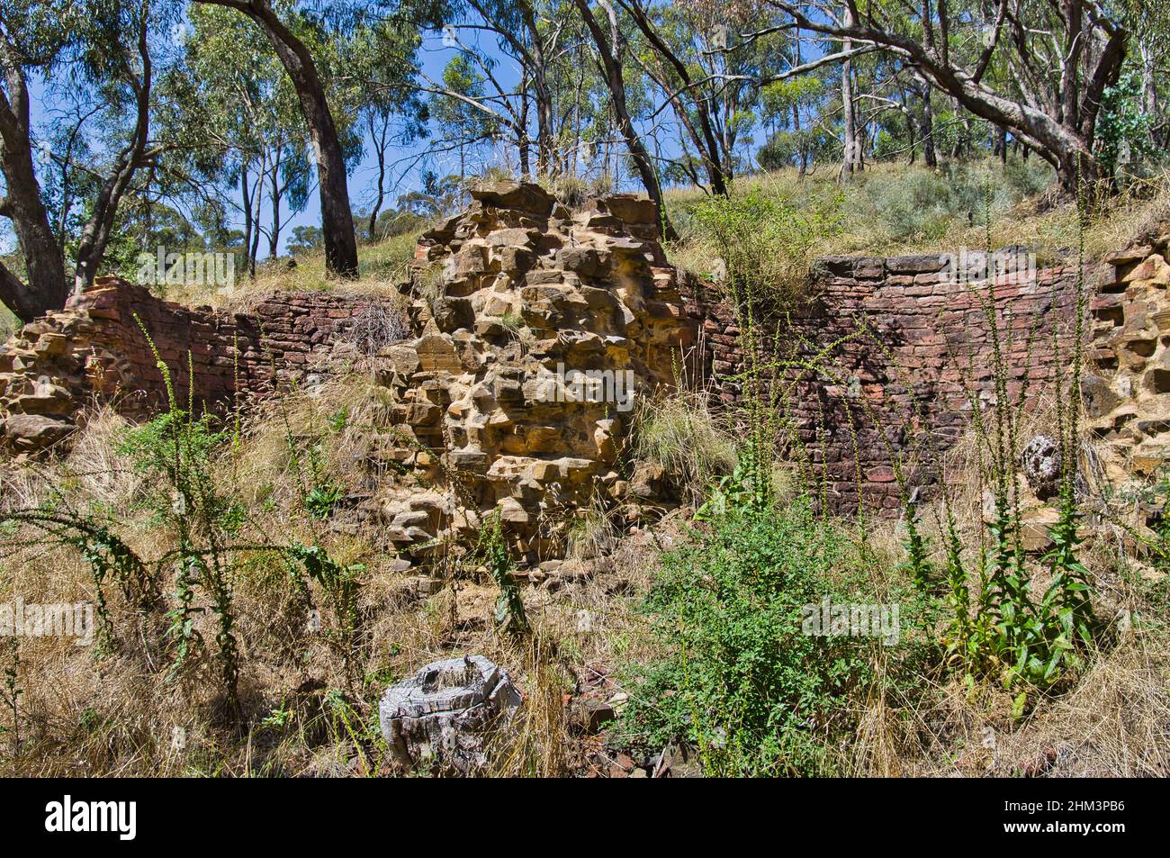 Overgrown ruins of the now defunct 19th-century North British Gold Mine ...