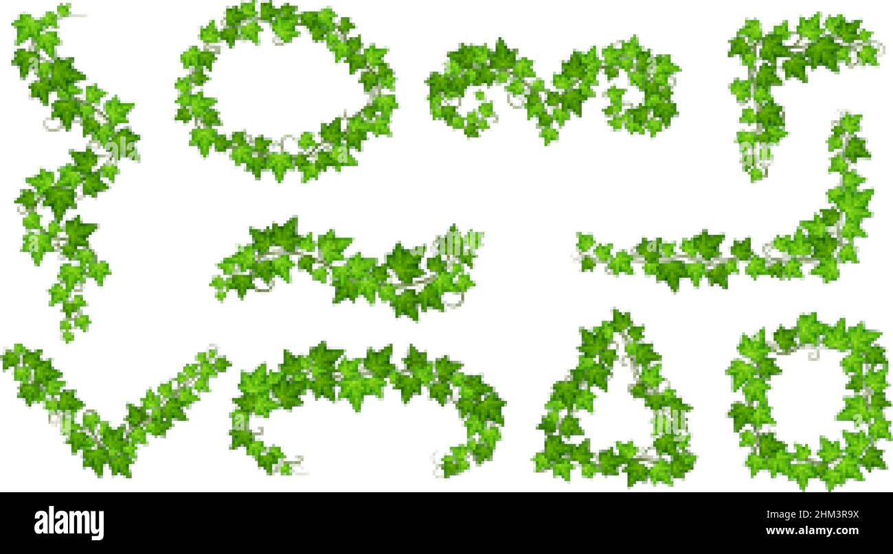 Vines wall background Stock Vector Images - Alamy