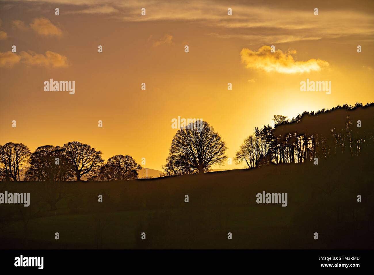 Sunset on a hillside with the sun behind a forest of trees Stock Photo ...